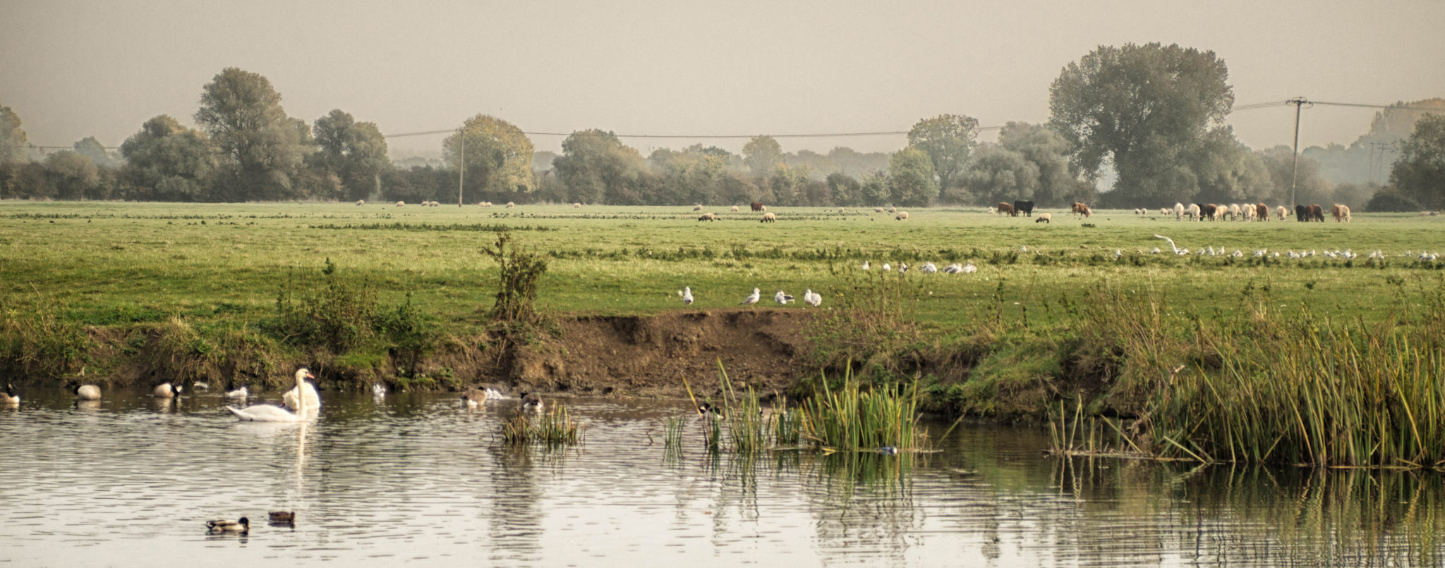 Water Monitoring & Research in the Great Fen - OTT Blog